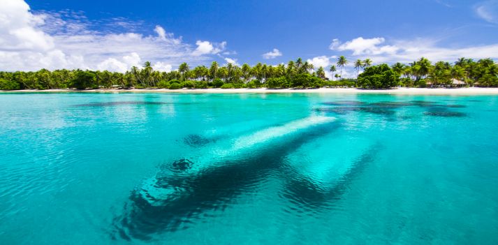 Le Isole Marshall sostituiscono il dollaro USA con la loro criptovaluta ...